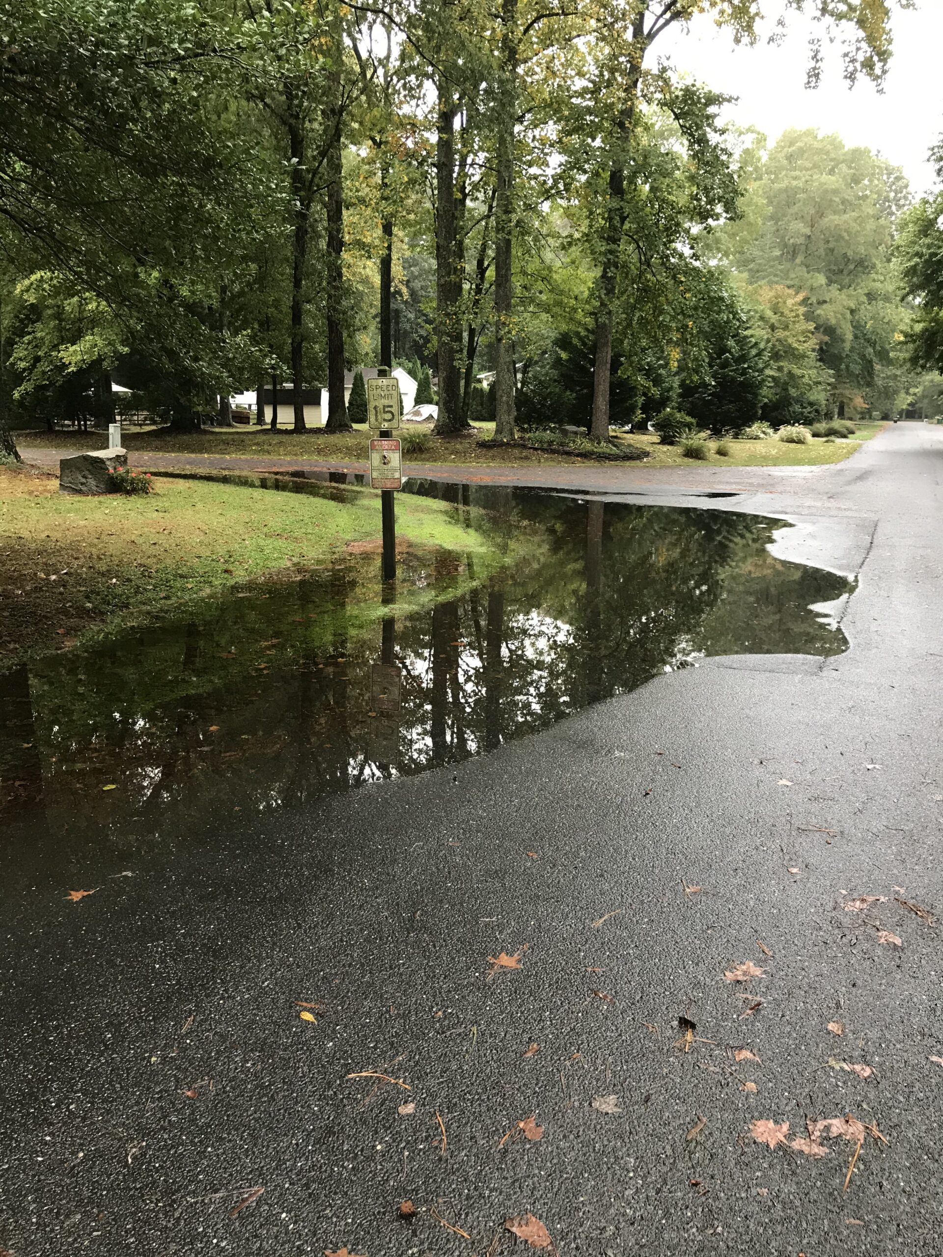 What Is a Drainage Swale? (And Does it Really Work?)