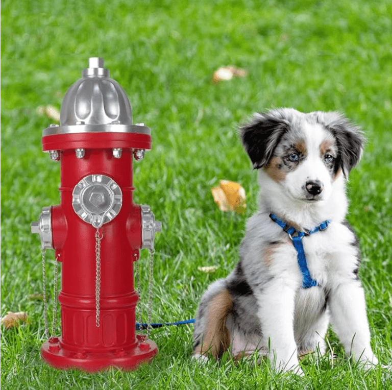 Can a Regular Person Use a Fire Hydrant?