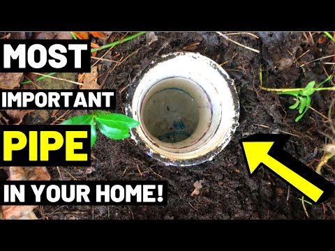 How to Hide Vent Pipes in Your Yard (With examples)